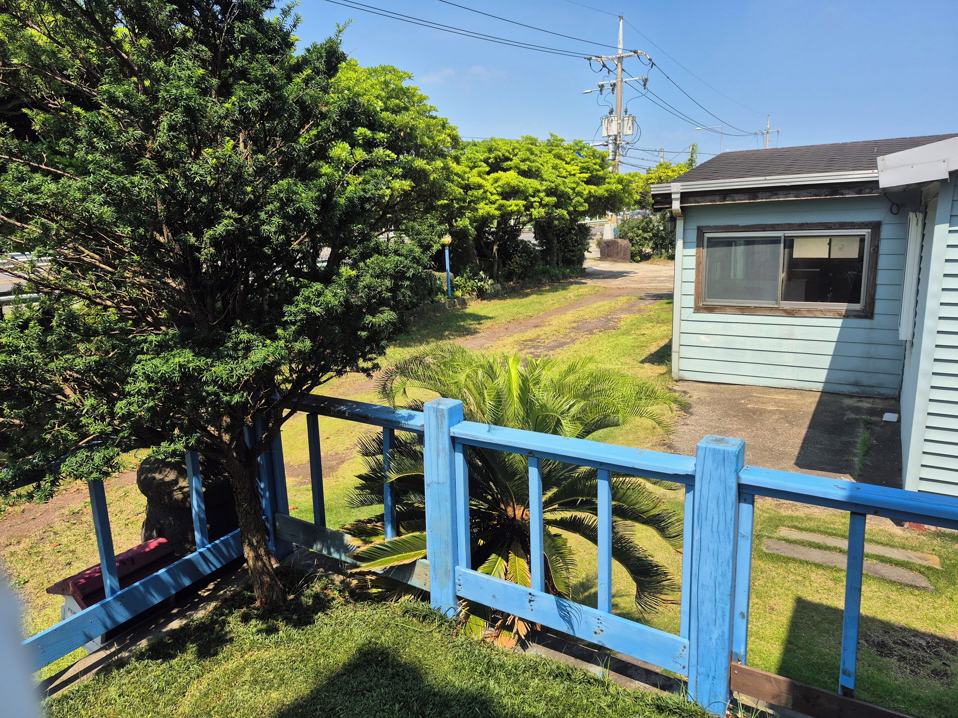 Uma área residencial com cerca azul, uma casa pequena e uma árvore grande.