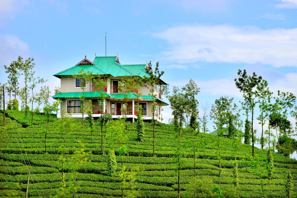 Green Hill Estate - Idukki