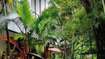 Terrenos do alojamento