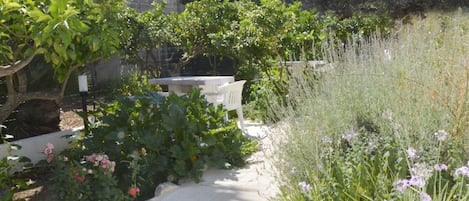 Terrenos do alojamento