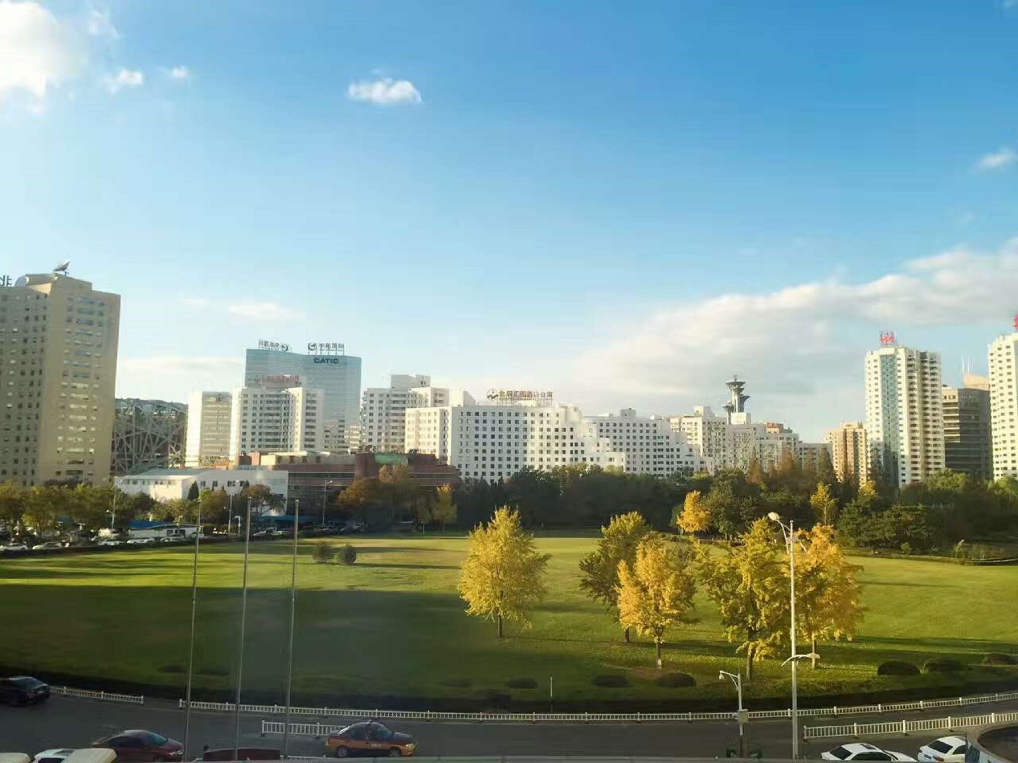 Paisagem urbana com arranha-céus, um parque arborizado e céu claro.