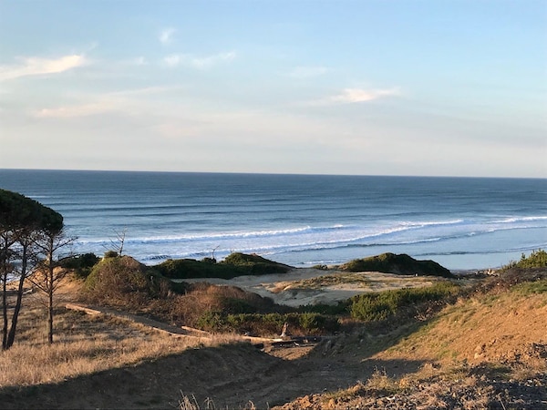Schooner Landing - Newport, OR
