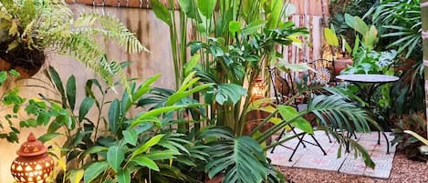Jardim