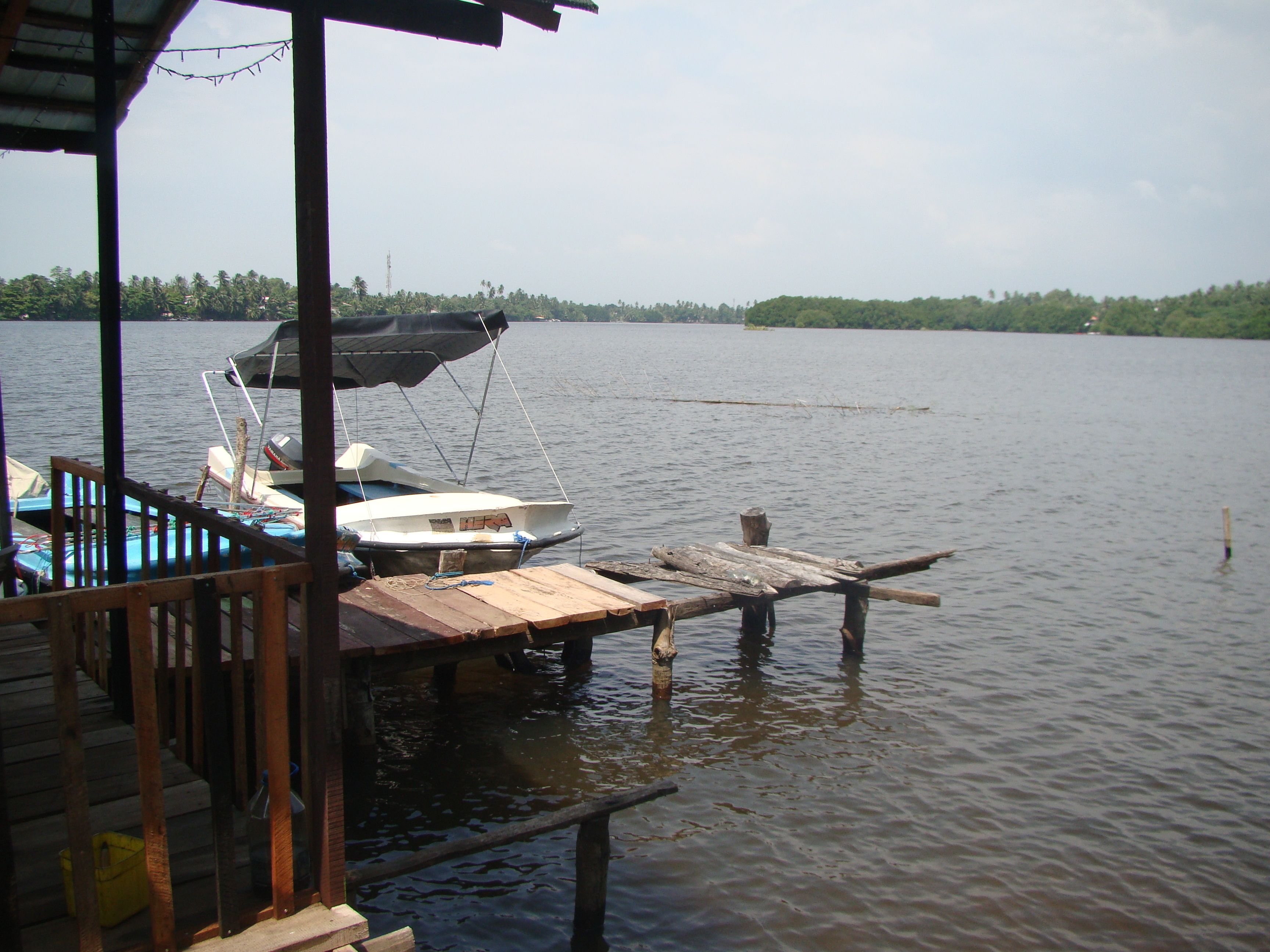 Passeios de barco