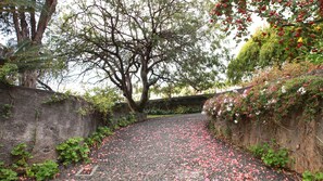 Um caminho de pedra com pétalas rosa espalhadas, ladeado por folhagem verde e uma árvore.