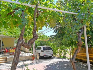 Terrenos do alojamento