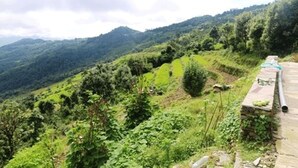 Uma encosta em terraços com um caminho de pedra e um cano ao lado.