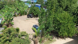 Uma área de estacionamento cercada por vegetação densa, incluindo bananeiras e diversos arbustos.