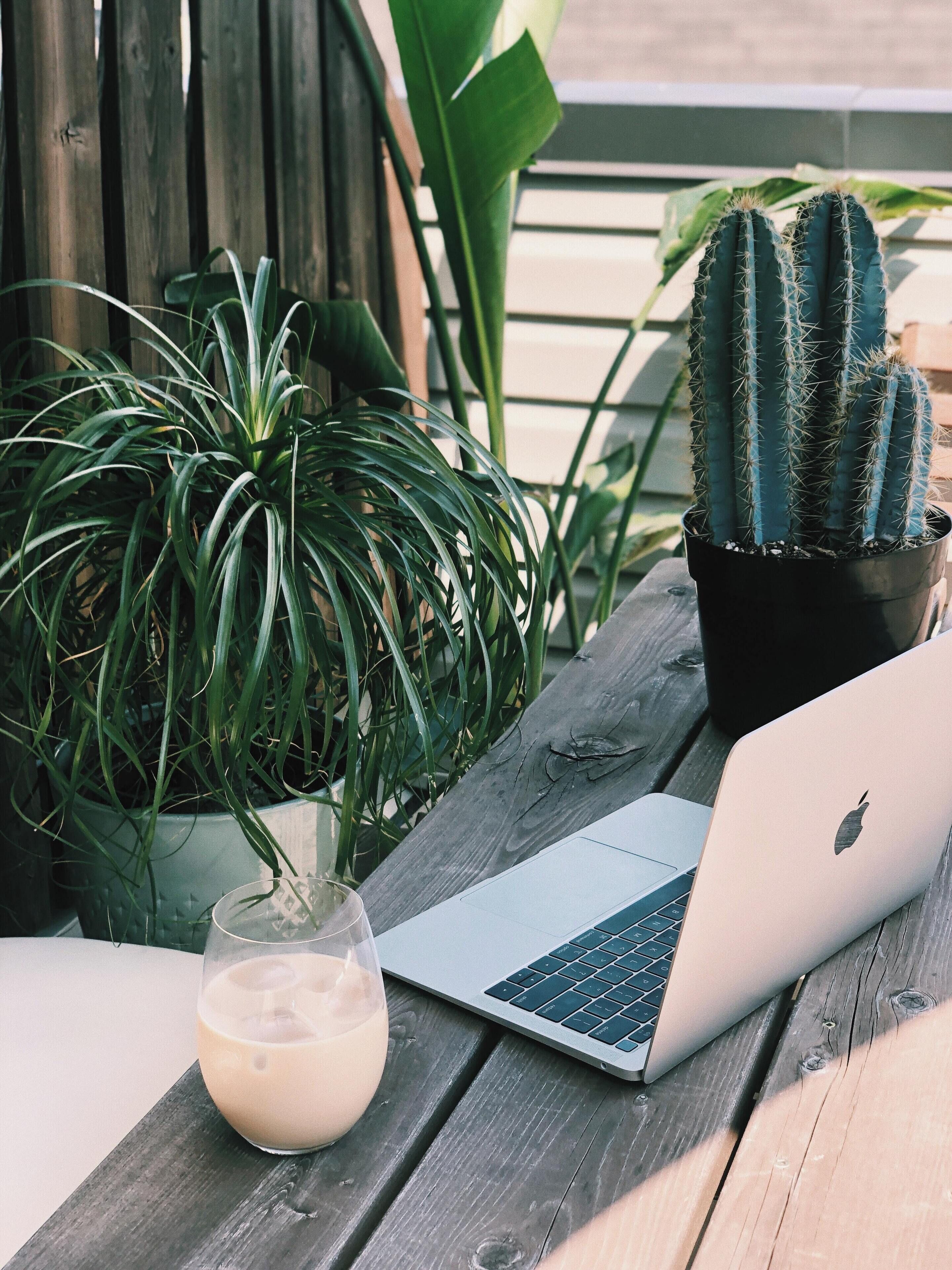 Um laptop sobre uma mesa de madeira, com um copo de bebida e um vaso de planta ao lado.