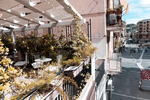 Terrenos do alojamento