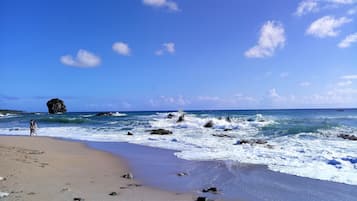 Vista da propriedade