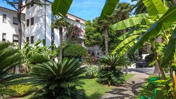 Jardim