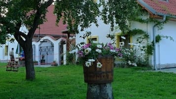 Jardim