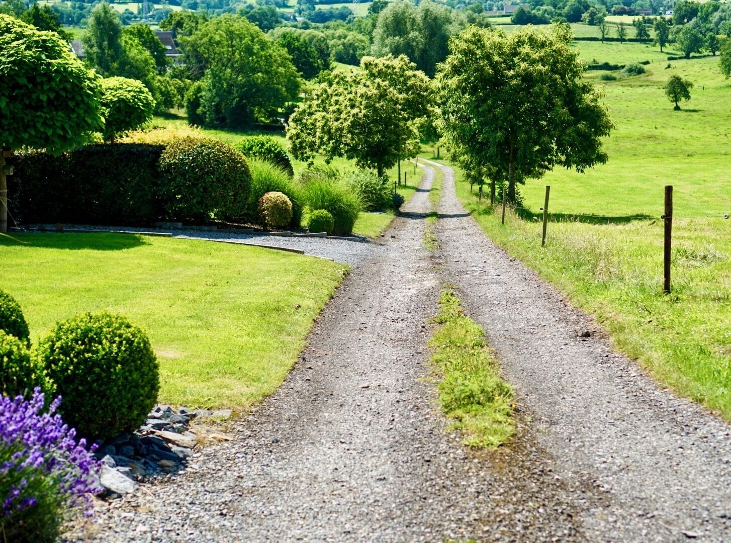 Uma estrada rural ladeada por sebes e árvores bem aparadas, conduzindo a uma paisagem verdejante.