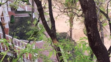 Área da propriedade
