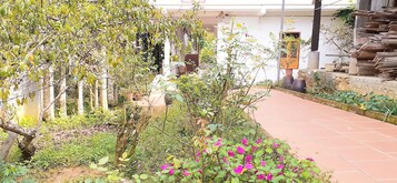 Um jardim com diversas plantas e flores, um caminho e um edifício ao fundo.