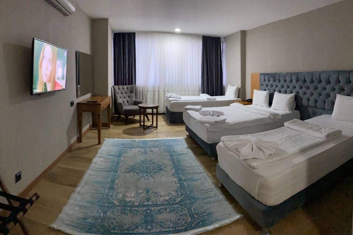 Quarto de hotel com duas camas de solteiro, uma televisão de tela grande, uma escrivaninha, uma cadeira e um tapete azul estampado.