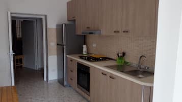 Um frigorífico/congelador grande, um forno, uma placa de cozinha