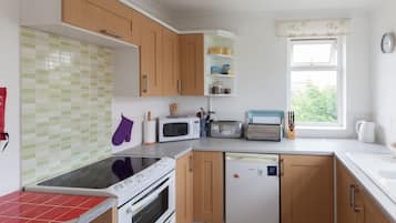 Apartamento Comfort, 1 quarto, Vista para a cidade | Cozinha privada | Um frigorífico, um micro-ondas, um forno, uma placa de cozinha