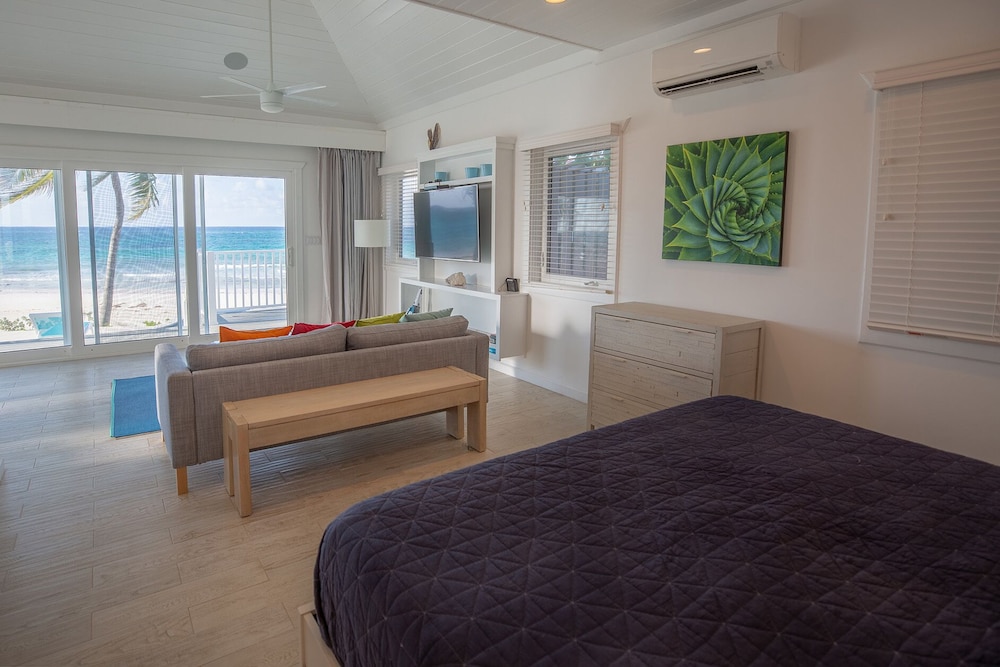 Oiseau De Paradis, Papaye Violette - Bahamas