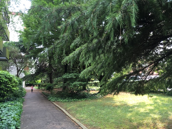 Bed And Breakfast Bio Salix - Padua