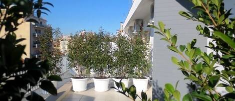 Terraço no telhado com plantas em vasos e vista dos edifícios ao redor.