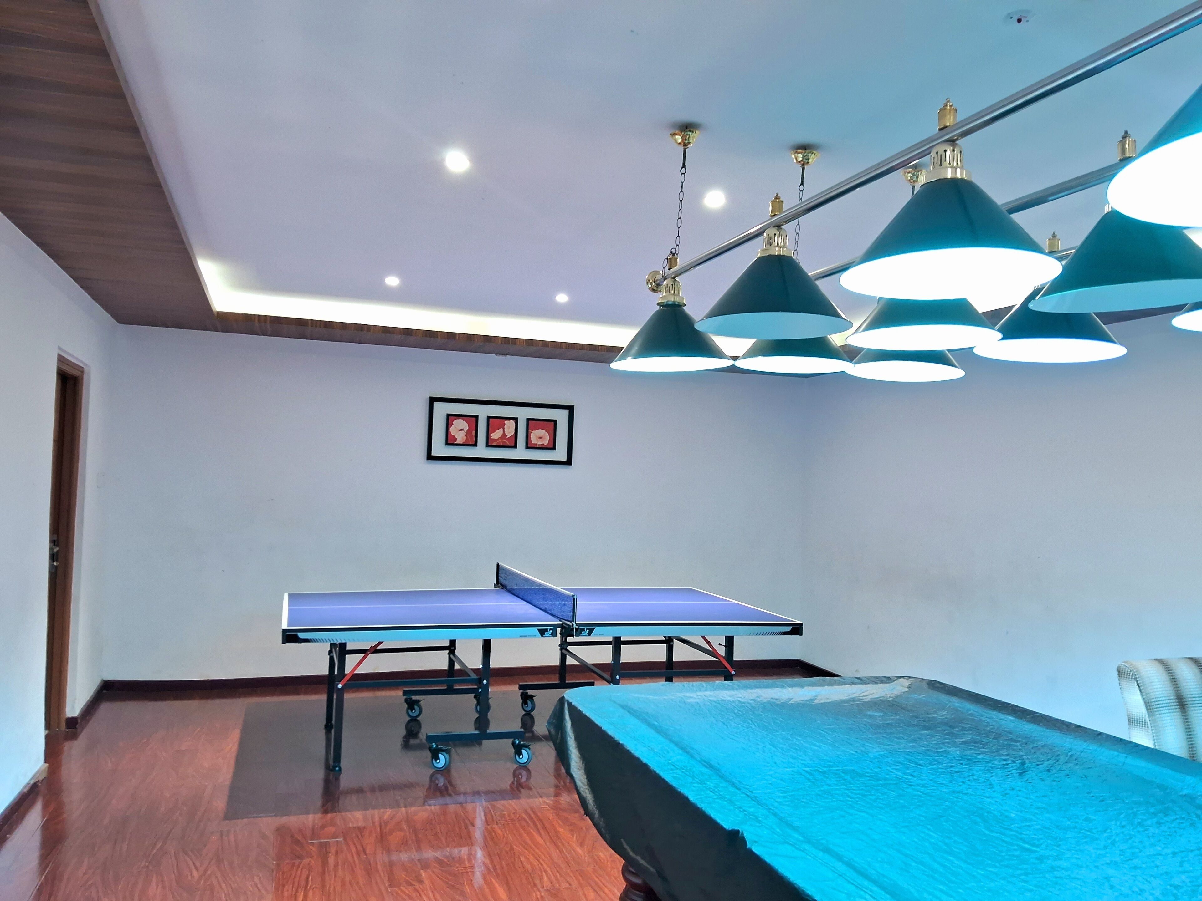 Um quarto com mesa de pingue-pongue, luminária no teto e quadro pendurado na parede.