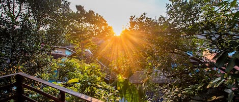 Um deck de madeira com vista para um jardim e casas ao fundo.