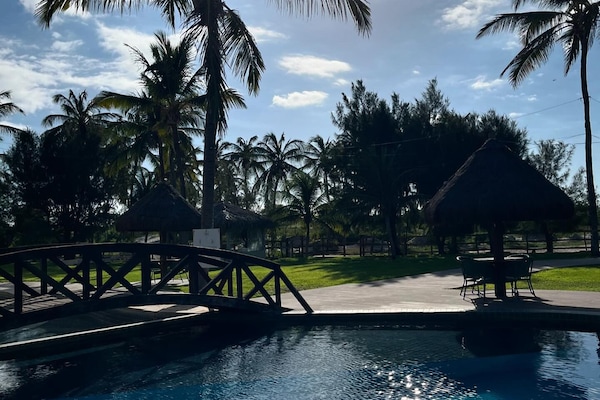 Piscina exterior, toldos gratuitos, guarda-sóis