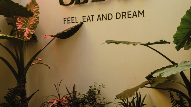 Uma parede com o texto "Cielo & Selva" e o slogan "Sentir, Comer e Sonhar".