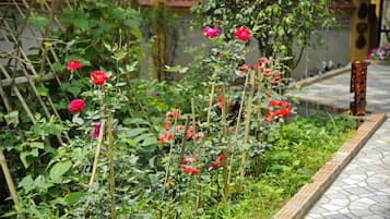 Jardim