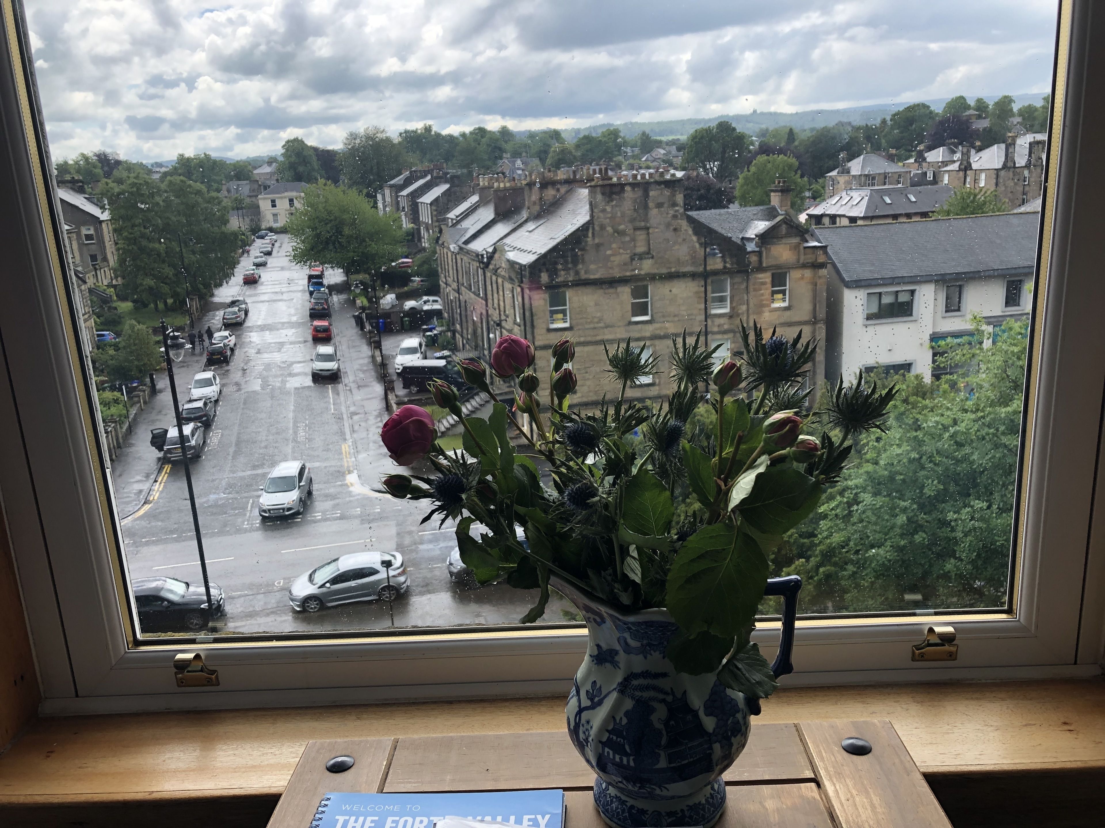 Vista pela janela de uma rua com carros estacionados e edifícios, um vaso com flores no peitoril e um letreiro de boas-vindas.