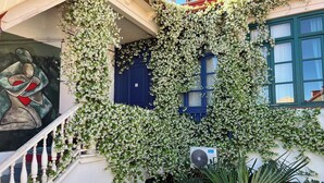 Um edifício com porta azul e janelas, coberto por trepadeiras floridas brancas.