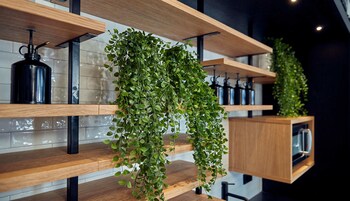 Comodidades da propriedade