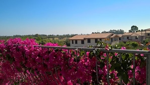 Uma varanda com flores de buganvillea cor-de-rosa, céu azul límpido e vista para casas ao fundo.