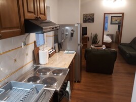 Apartamento, banheiro privativo, vista para a montanha | Cozinha privada | Geladeira, fogão, cooktop, cafeteira/chaleira
