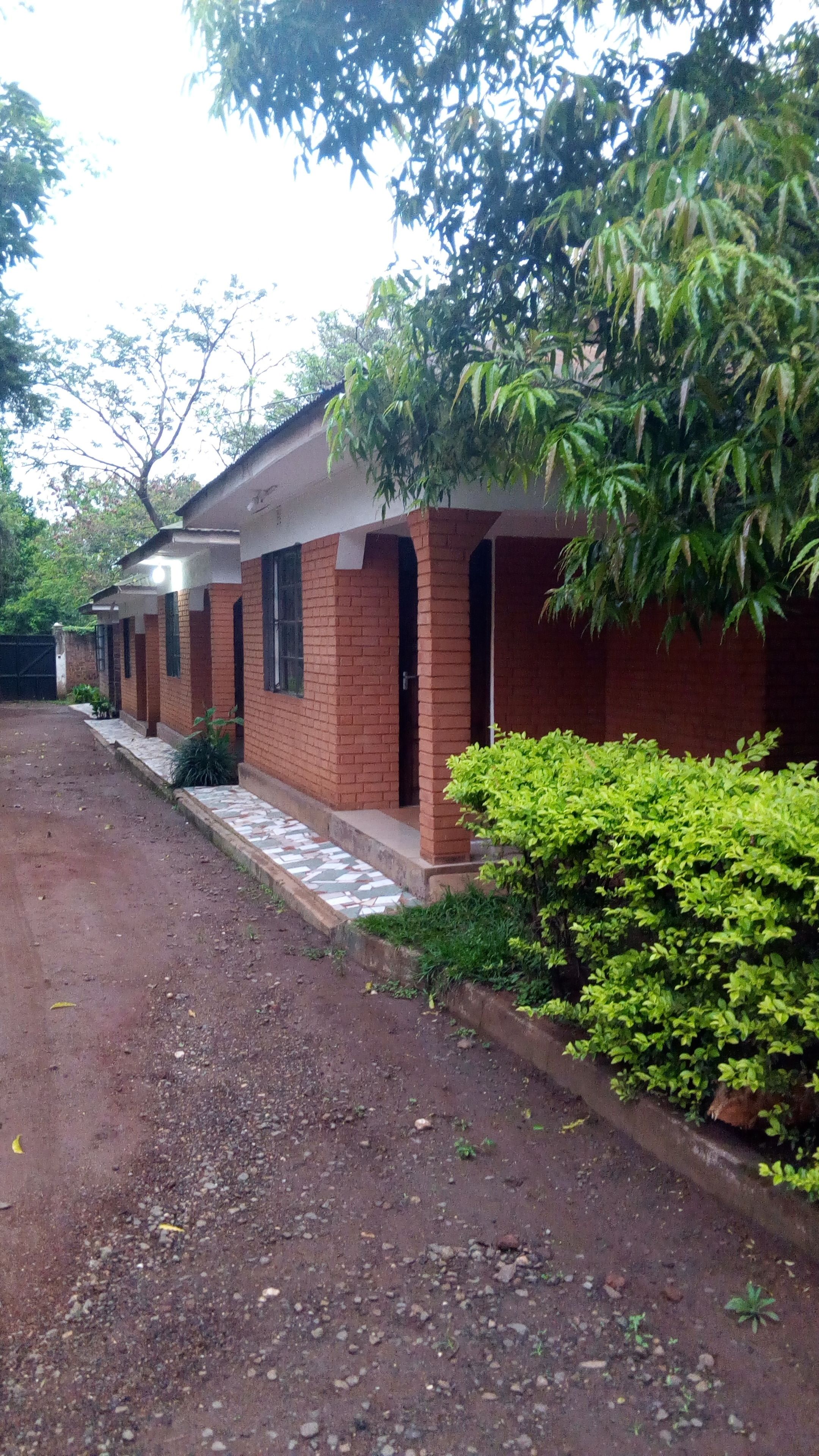 Uma fileira de edifícios de tijolo com um passeio pavimentado e vegetação.