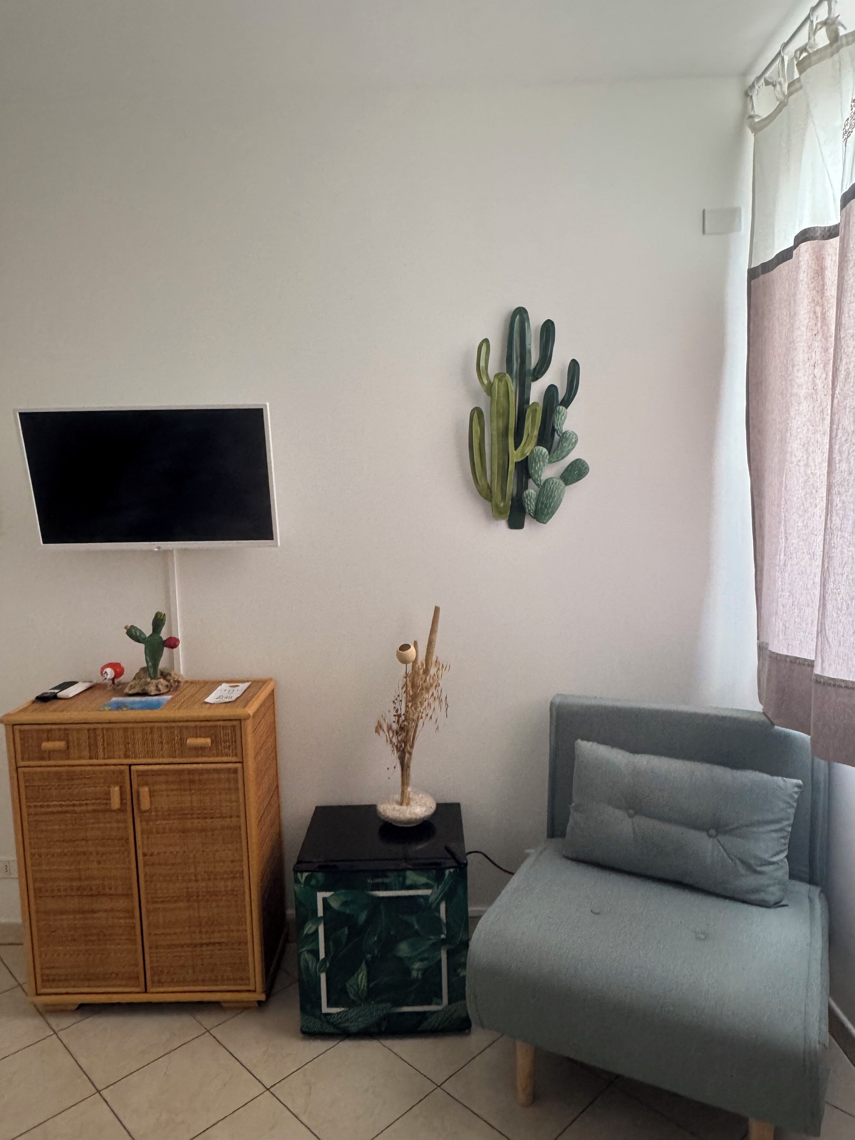 Um quarto com televisão de tela plana sobre um móvel de madeira, decoração de parede com cactos, um pequeno vaso com plantas secas e um sofá cinza.