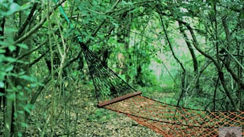 Jardim