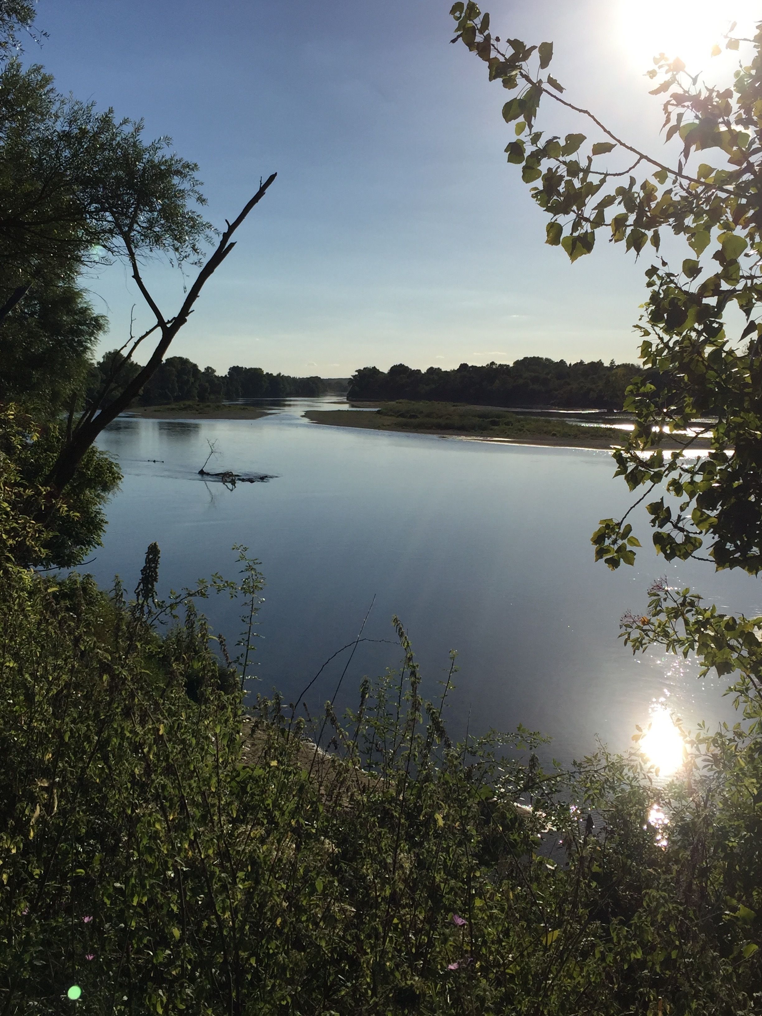 Um lago tranquilo rodeado por folhagem densa e árvores.