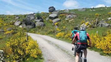 Uma estrada de cascalho com ciclistas, cercada por vegetação e flores amarelas.
