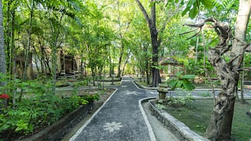 Jardim
