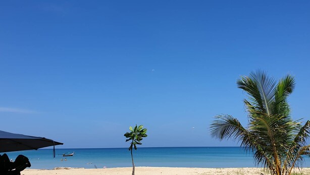 Uma praia com céu claro, uma palmeira e um barco ao longe.
