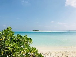 Uma praia com águas turquesa cristalinas, margem arenosa e vegetação exuberante em primeiro plano.