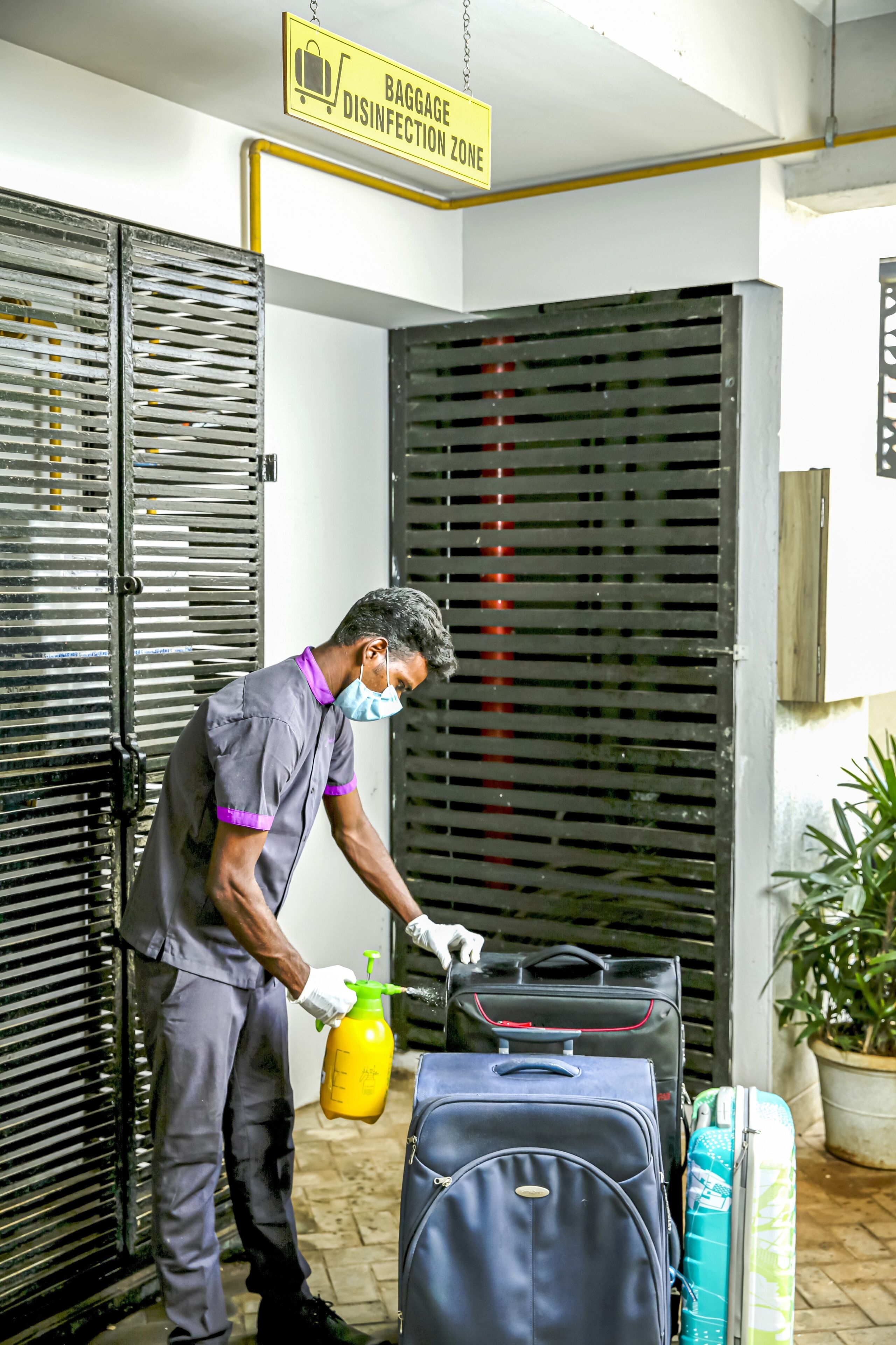 Uma pessoa desinfetando bagagem em um espaço com uma placa indicando 'Baggage Disinfection Zone'.