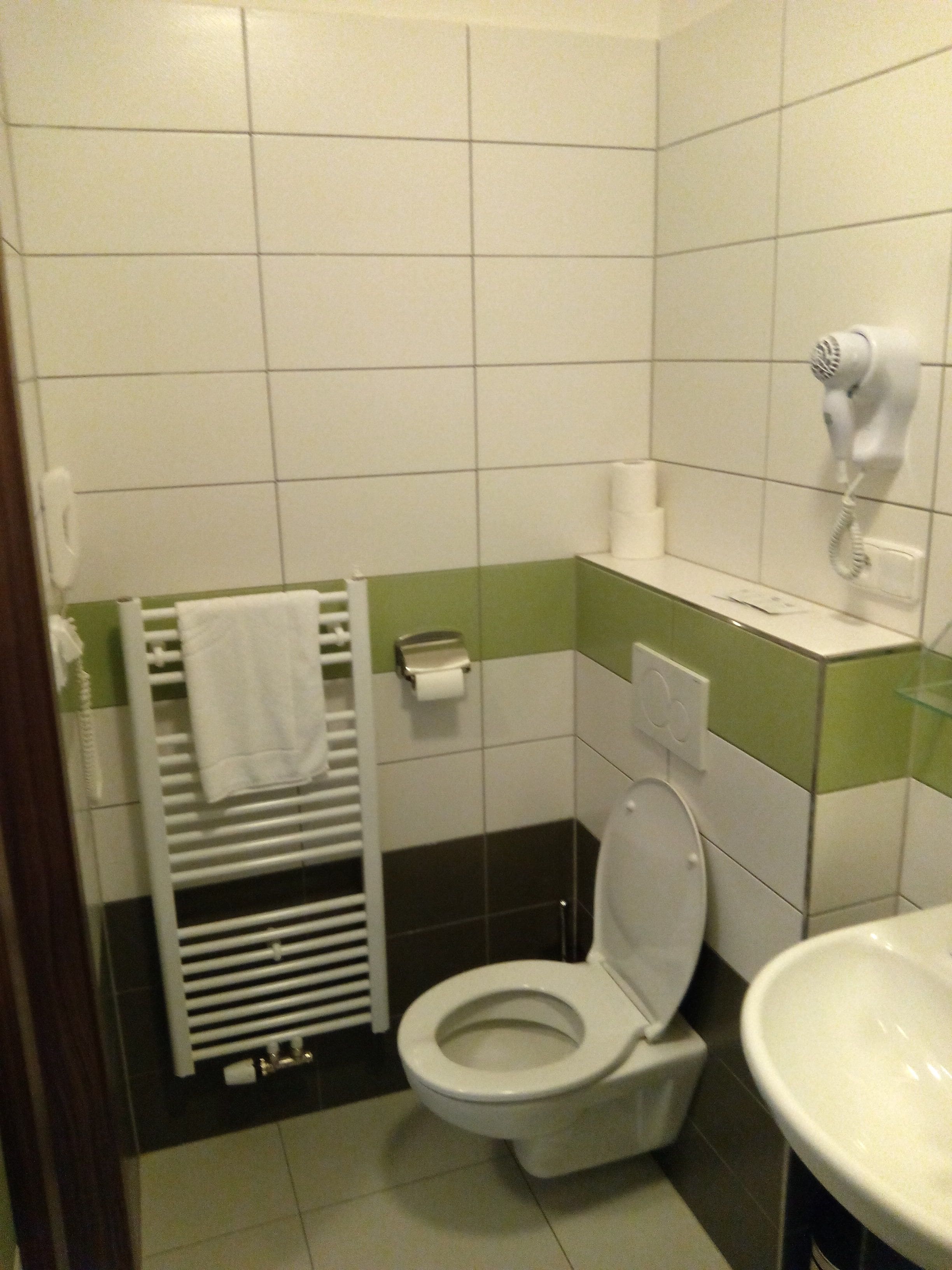 Casa de banho pequena e limpa, com sanita, um porta-toalhas e um secador de cabelo preso à parede.