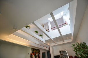 Um interior moderno com claraboia, paredes brancas e plantas em vasos.