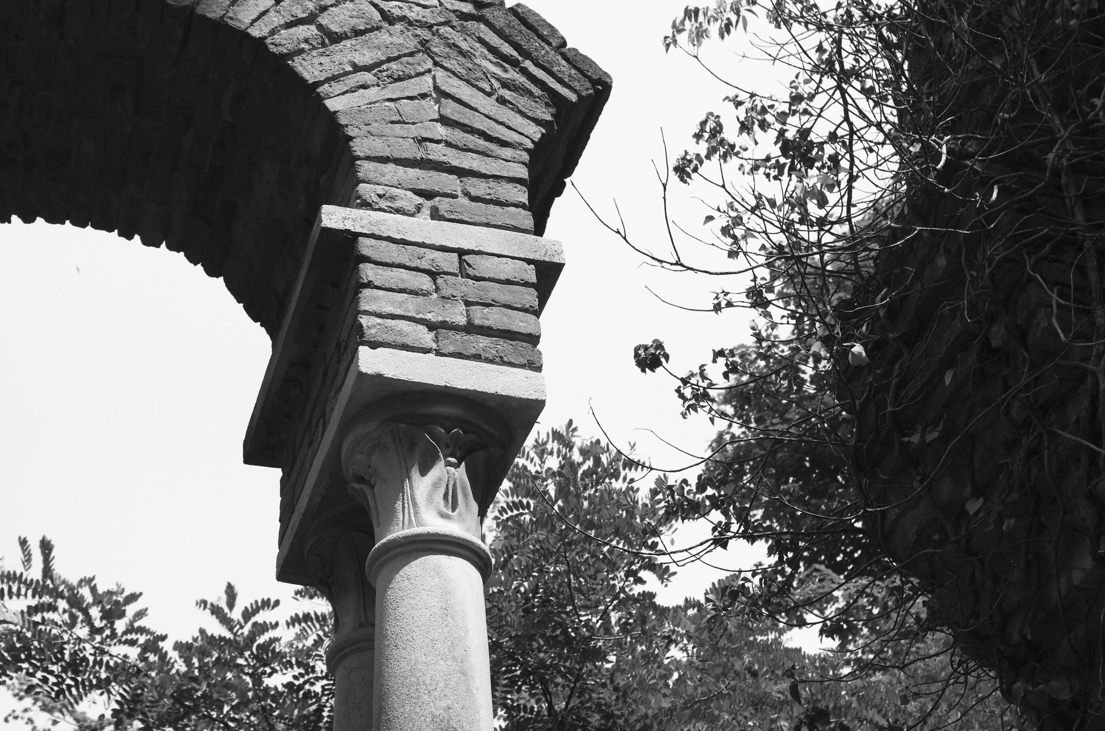 Um arco de pedra com padrão em tijolos, rodeado por folhagem.
