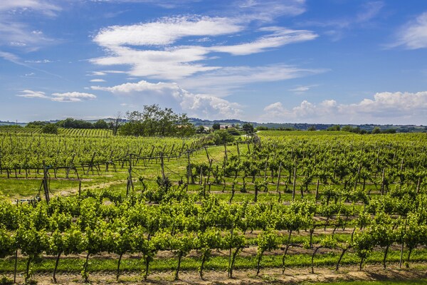 Trere Agriturismo - Emilia-Romagna