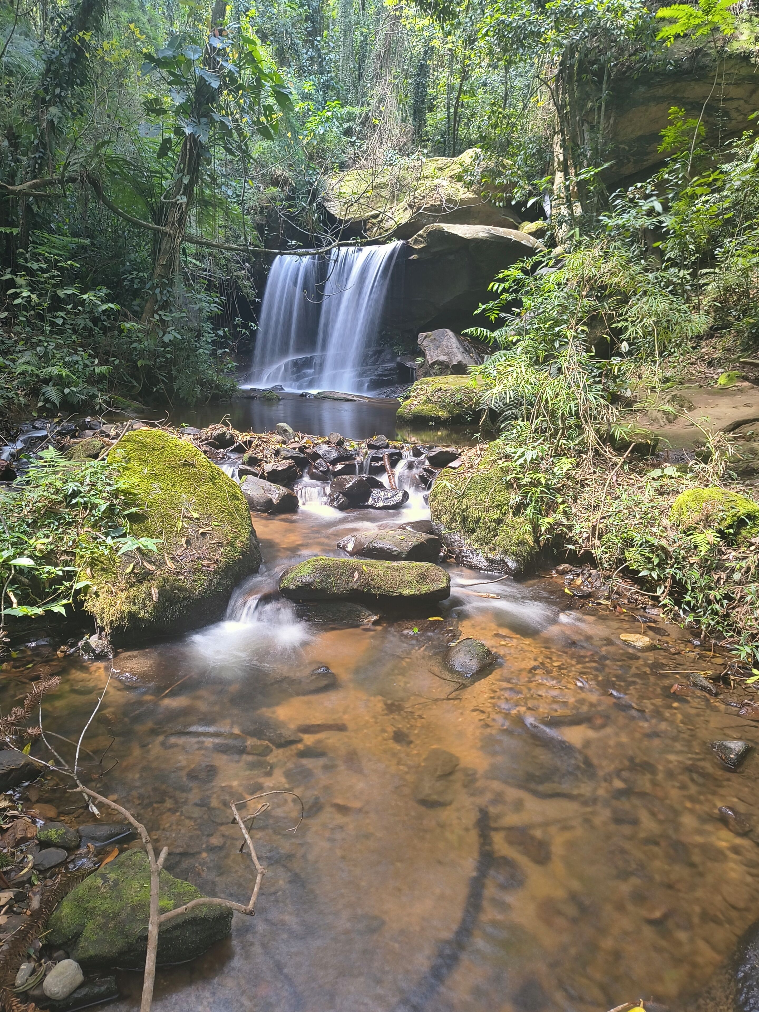 Uma cascata natural em área arborizada, com água cristalina correndo sobre rochas.